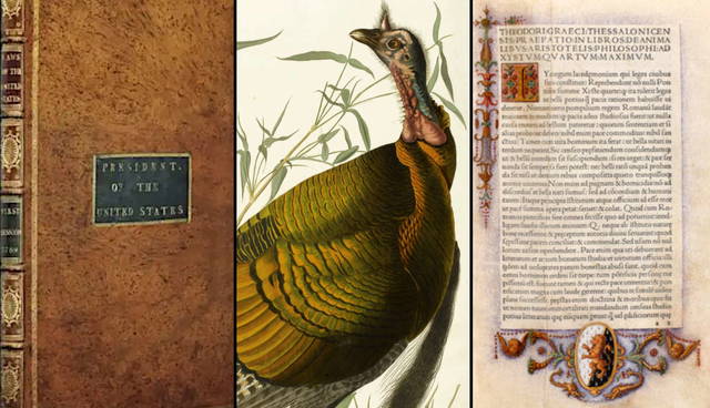 Top 10 Books & Manuscripts that Achieved Incredible Results