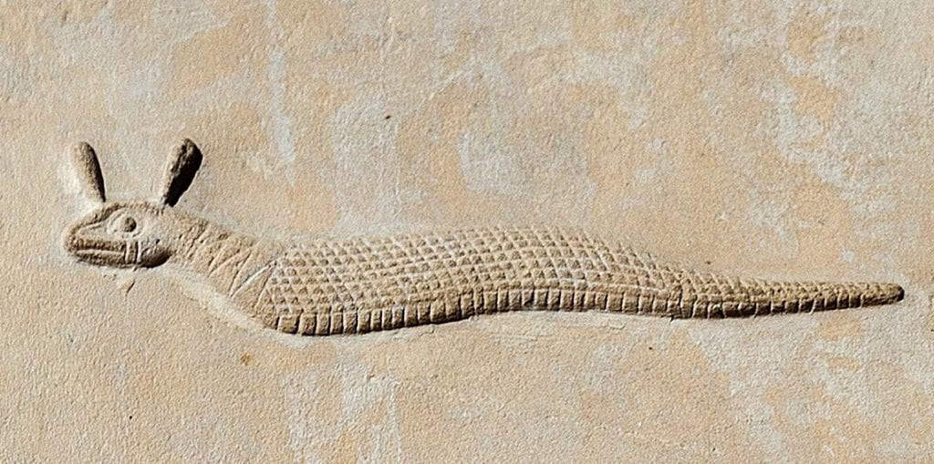 12 Animal Hieroglyphs and How the Ancient Egyptians Used Them