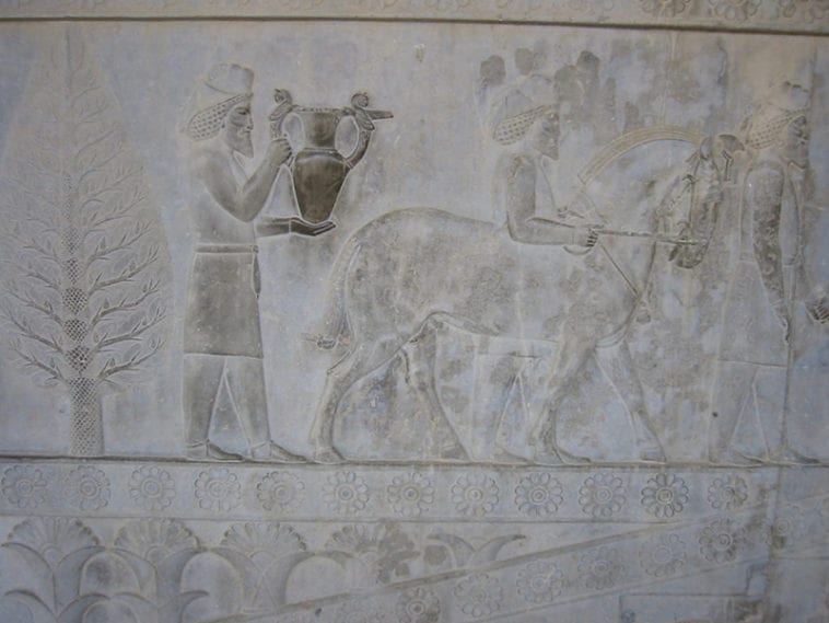 Bas-Reliefs of Persepolis: 5 Fascinating Facts