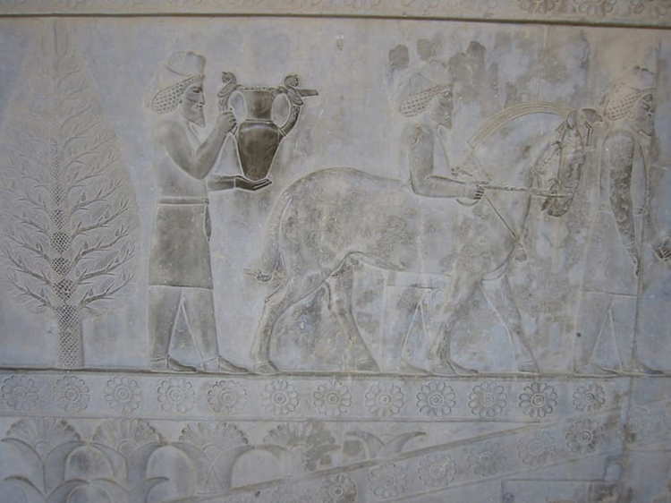 Bas-Reliefs of Persepolis: 5 Fascinating Facts