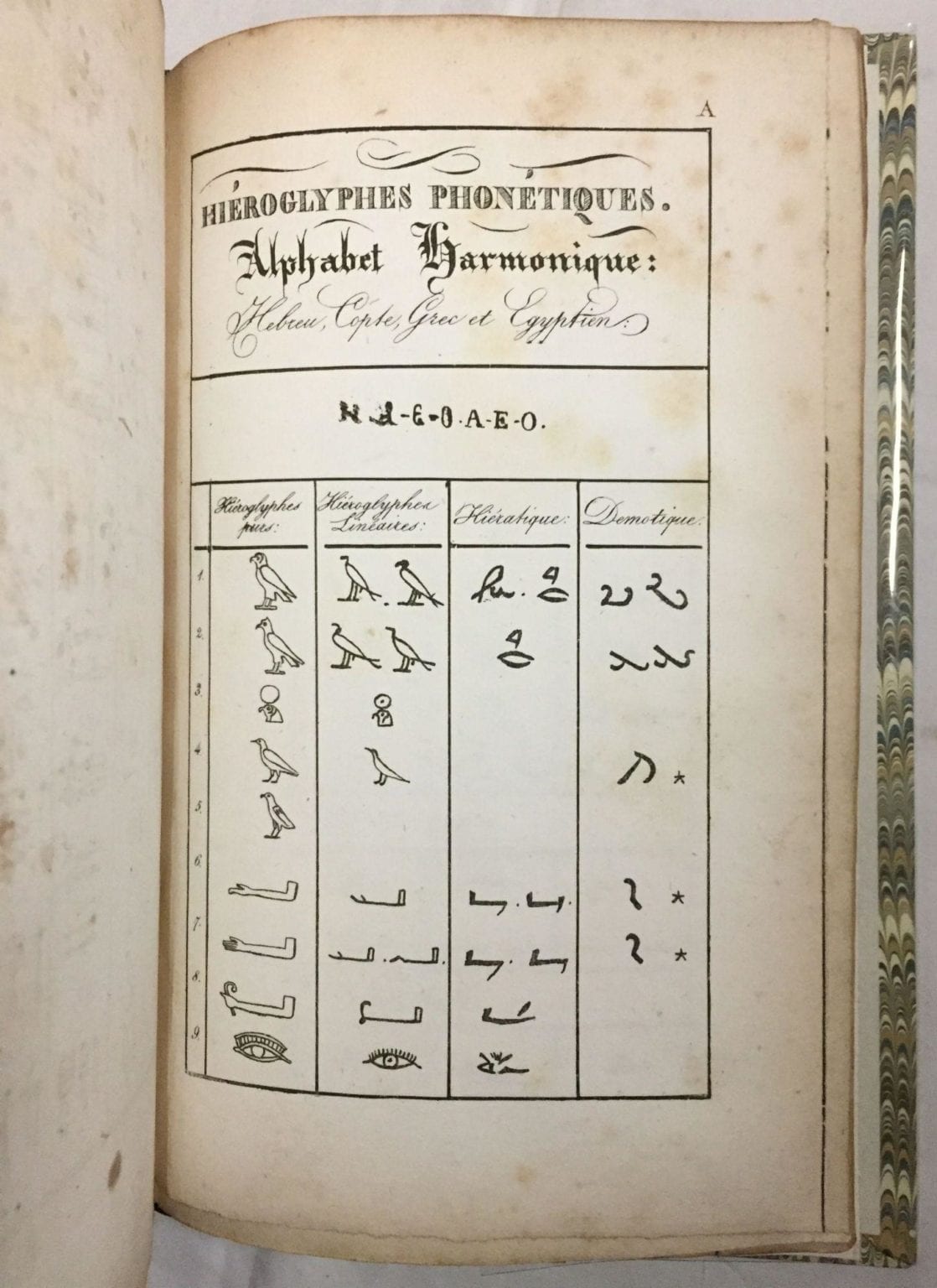 Jean Francois Champollion: Deciphering the Rosetta Stone (7 Facts)