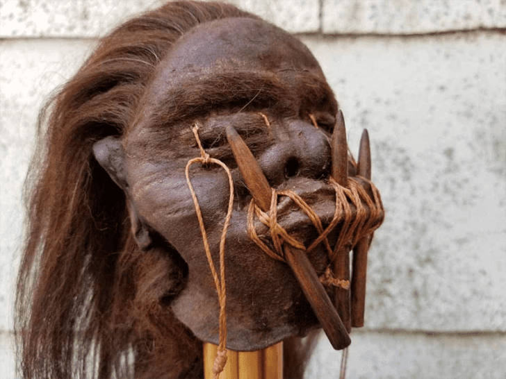 8 Disturbing Facts About Real Shrunken Heads