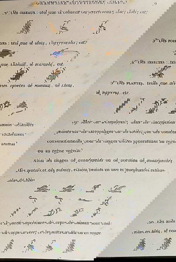 Jean Francois Champollion: Deciphering the Rosetta Stone (7 Facts)