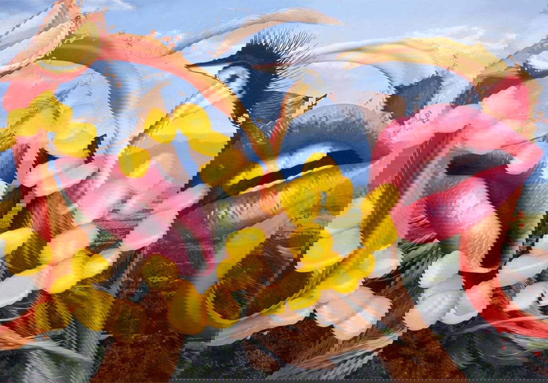 Pop Art: American vs. British (Famous Artists & Iconic Art)