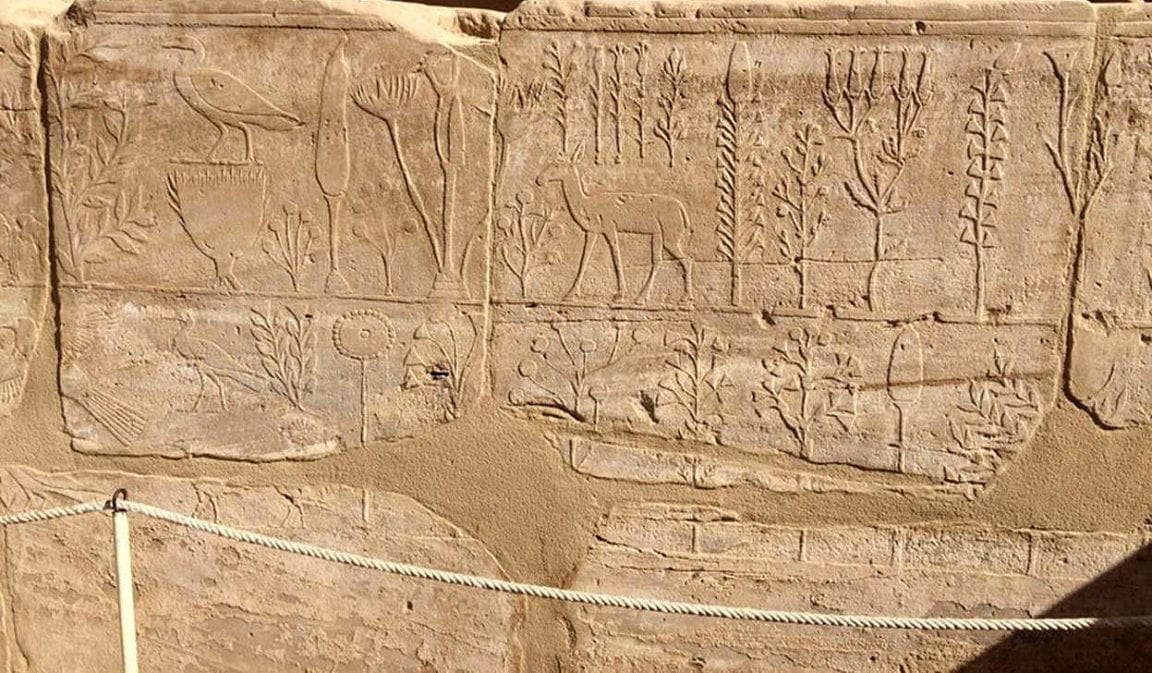 10 Surprising Facts about Egyptian Pharaoh Thutmose III