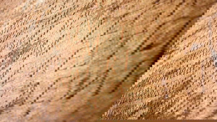 10 Ancient Roman Inventions That Will Surprise You