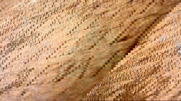 10 Ancient Roman Inventions That Will Surprise You