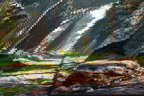 Death In Ancient Rome: The Fascinating Relationship Between Life and Death