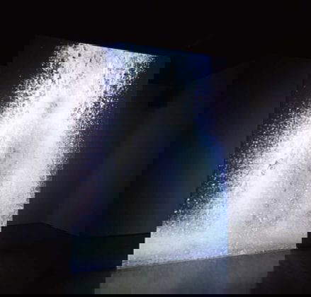 8 Surprising Facts About Video Artist Bill Viola: Sculptor of Time