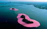 Surrounded Islands: Christo and Jeanne-Claude’s Famous Pink Landscape