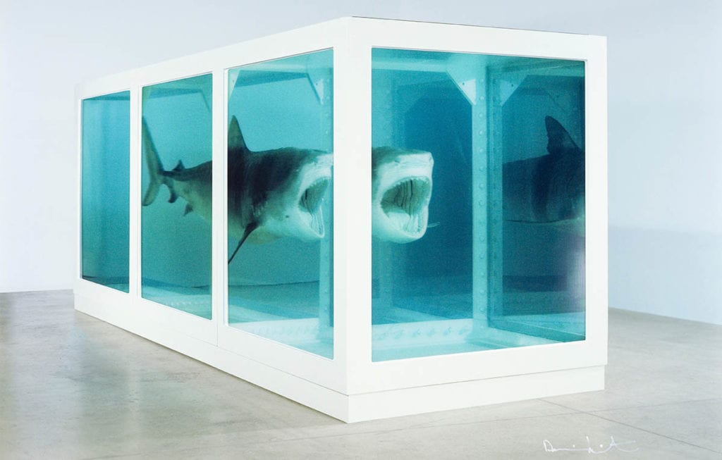 Why Did Damien Hirst Put a Shark in a Tank?