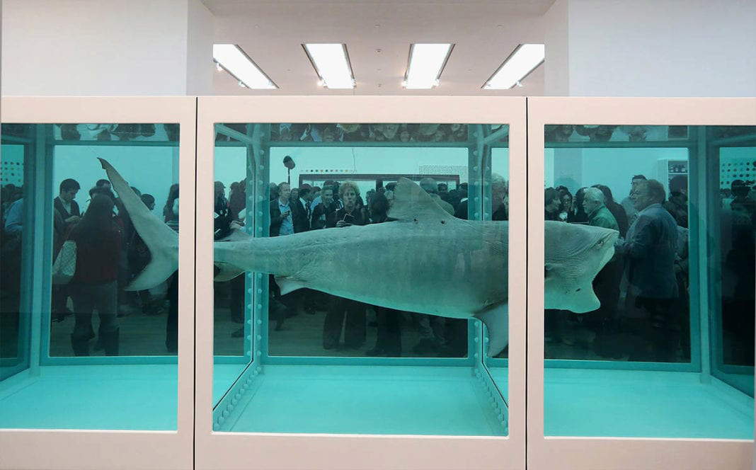Why Did Damien Hirst Put a Shark in a Tank?