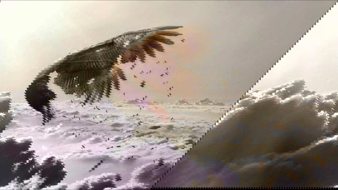 Why Did Icarus Fly Too Close to the Sun?