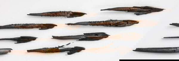 Poison in Ancient History: 5 Illustrative Examples of its Toxic Use