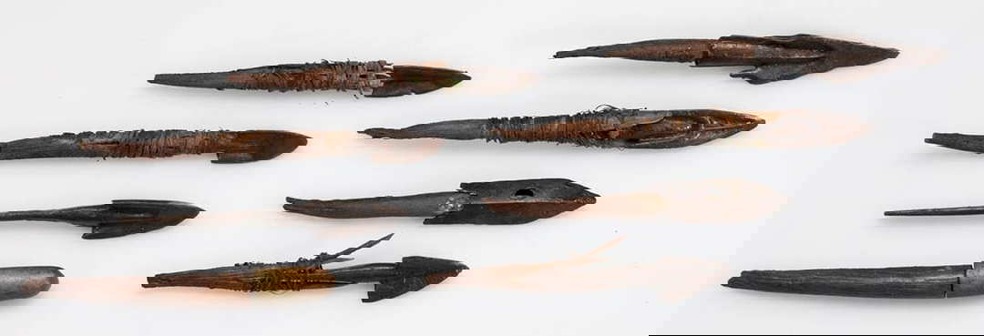 Poison in Ancient History: 5 Illustrative Examples of its Toxic Use