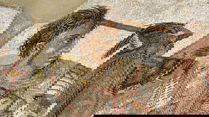 Diadochi: The Successors of Alexander the Great & Their Wars