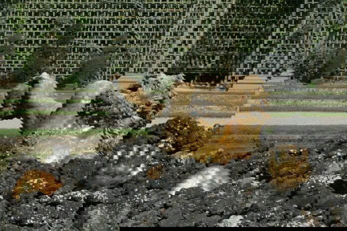 Enceladus: The Greek Giant That Shakes The Earth