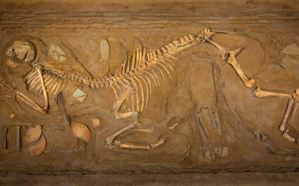 9 Facts About The Centaurs Of Greek Mythology