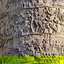 Trajan’s Column: The Ancient Roman Movie Carved In Marble