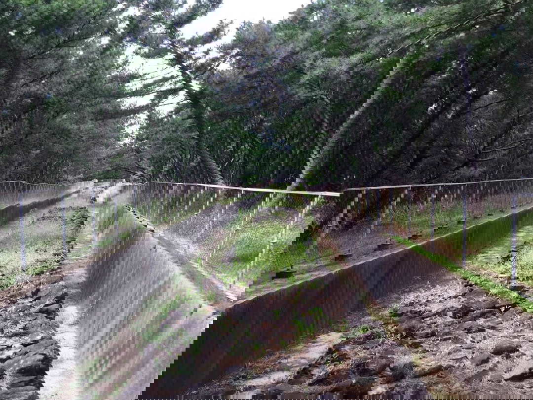 The Mongol Empire and Divine Winds: The Mongol Invasion of Japan