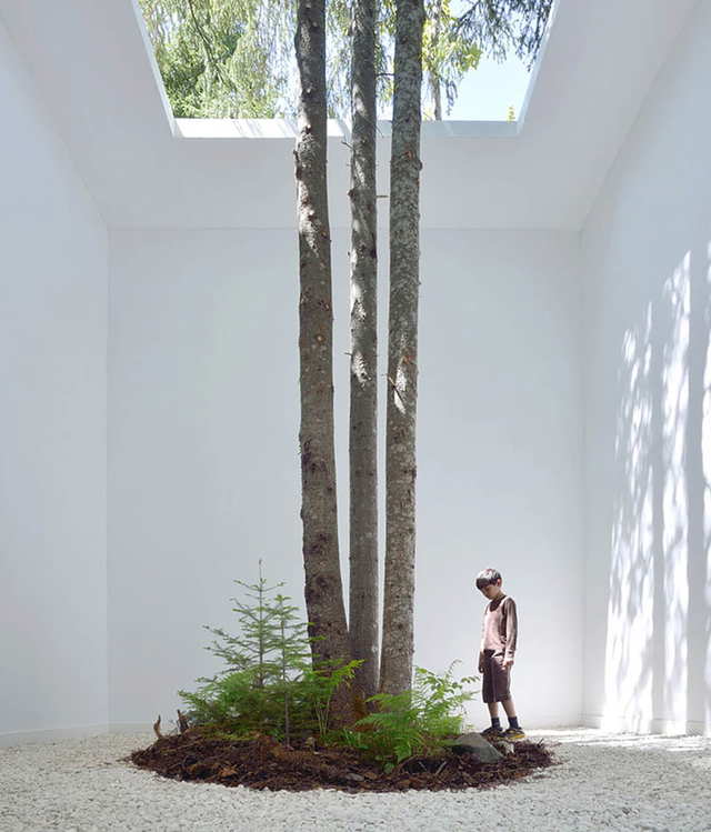 Posthumanism: A Philosophy for the 21st Century?