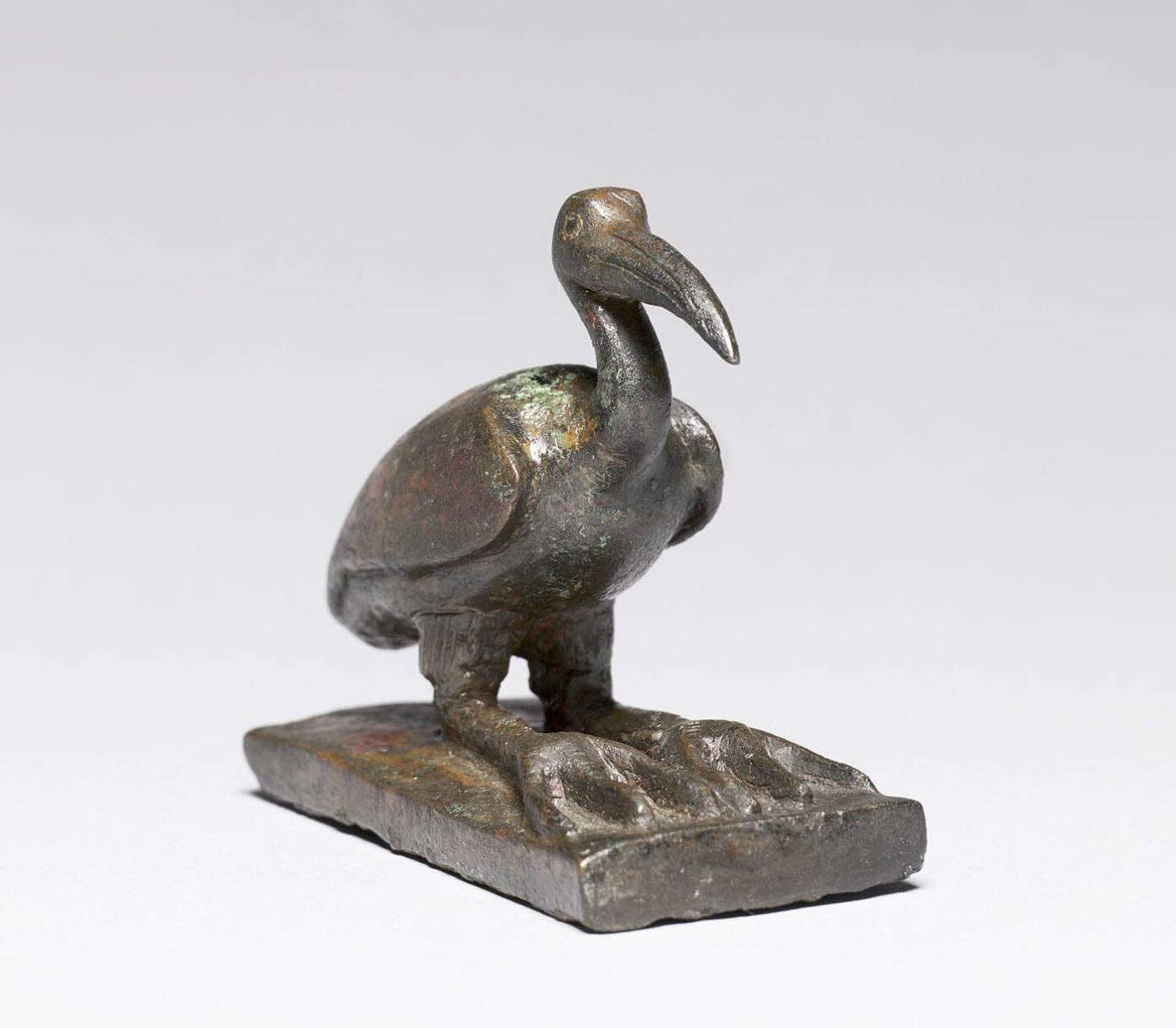 Ancient Egyptian Animal Customs from Herodotus’ Histories