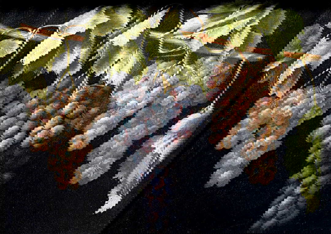 Lessing’s Laocoon: How A Greek Statue Changed Aesthetics