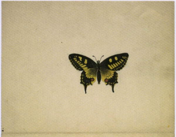 Paul Klee: The Life & Work of an Iconic Artist