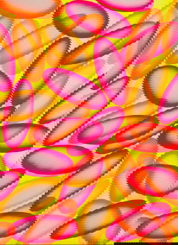 Richard Bernstein: The Starmaker of Pop Art