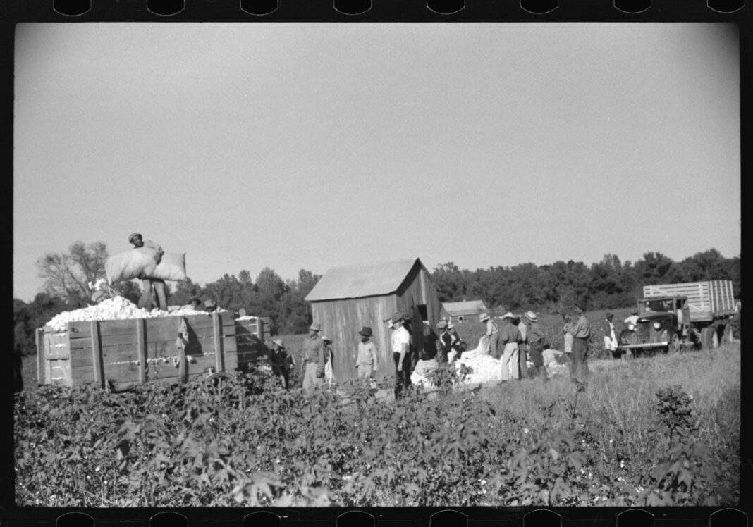 The Sociocultural Impact of the Great Depression