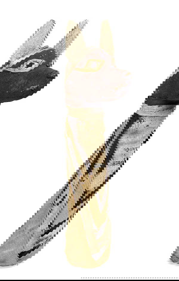 Mummified Animals: How Ancient Egypt Preserved Pets