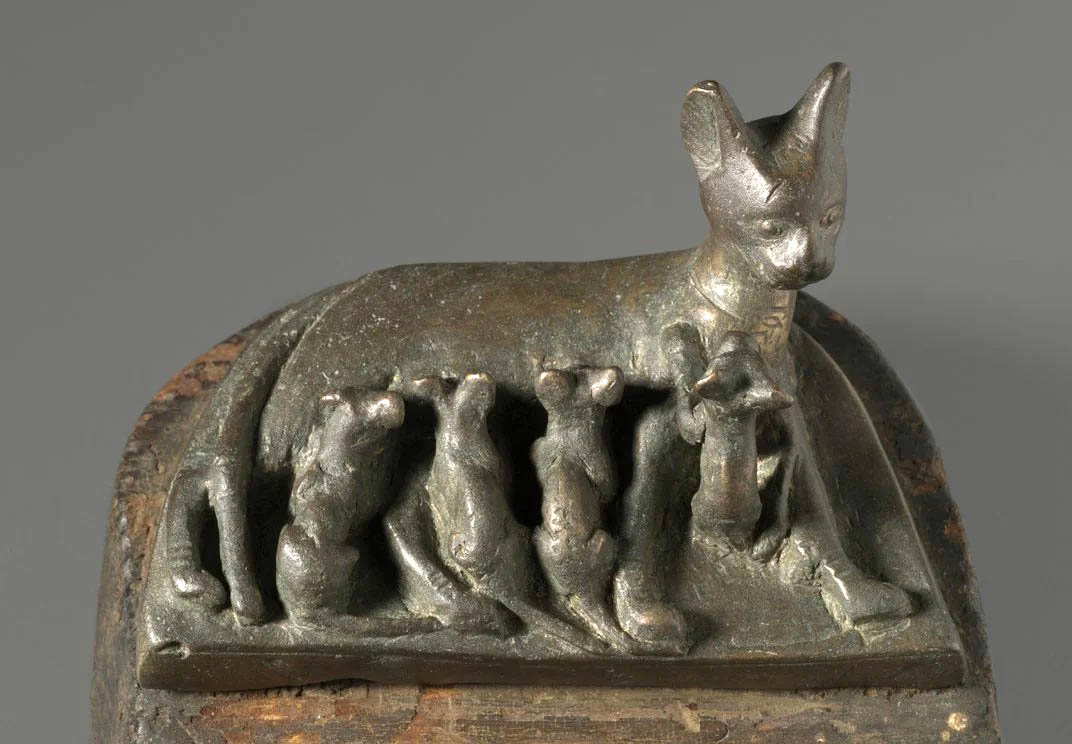 Cats in Ancient Egypt: The Wild Companions Who Became Gods