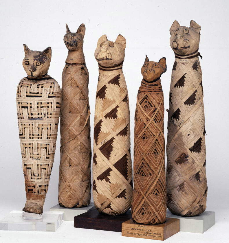 Cats in Ancient Egypt: The Wild Companions Who Became Gods