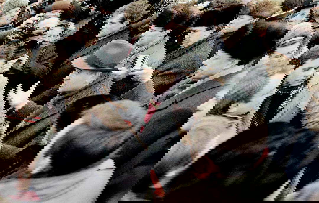 The Soviet Union: How and Why Did it Fall?