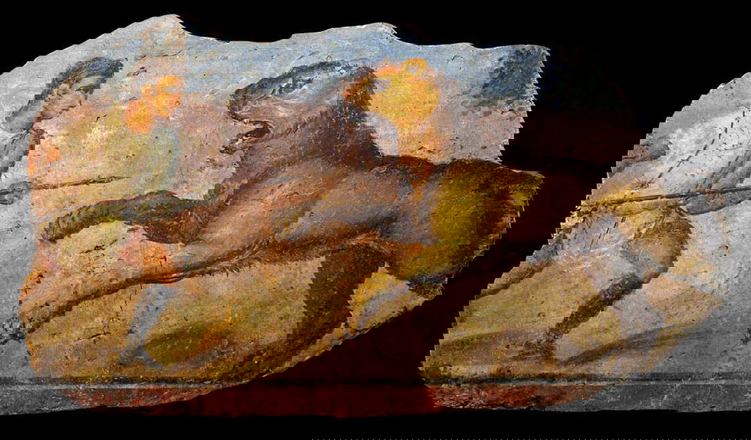 What Happened at the Circus Maximus?