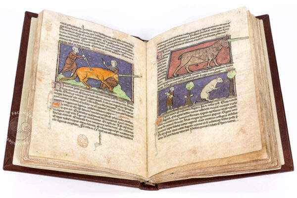 What Is an Illuminated Manuscript?