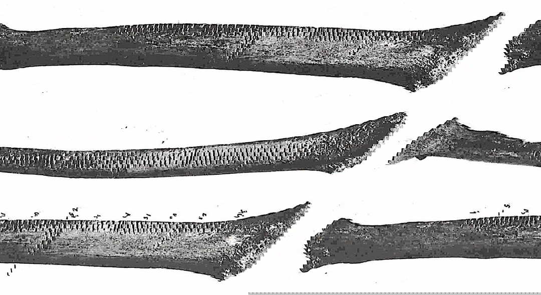 Under the Moonlight: Depictions of the Moon in Art