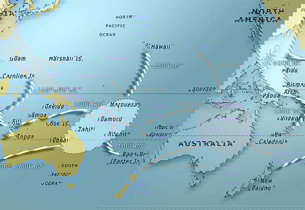 Polynesian Tattoos: History, Facts, & Designs