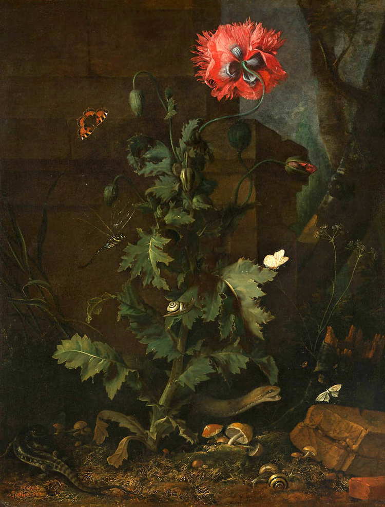 The Black Death (10 Medieval Cures)