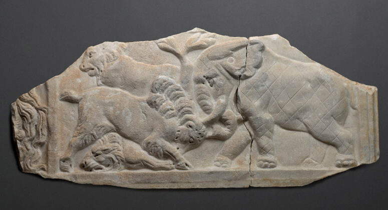 Throw Them to the Lions! Animals in Ancient Rome