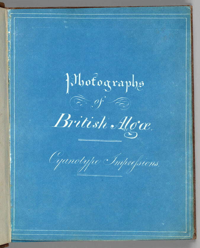 How English Photographer Anna Atkins Captured the Science of Botany