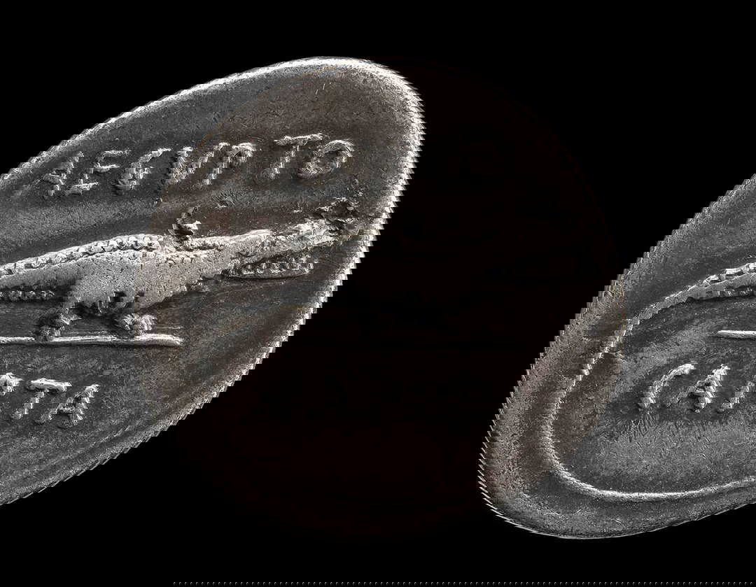 Throw Them to the Lions! Animals in Ancient Rome