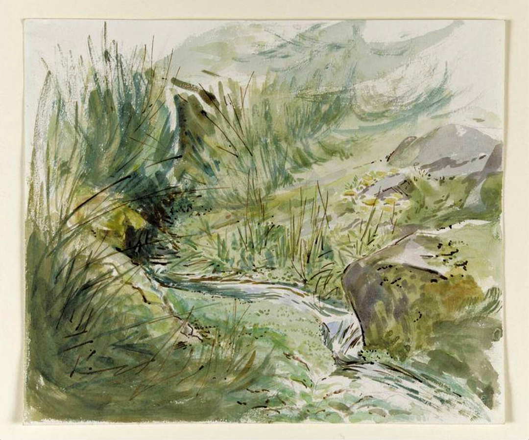 Beatrix Potter: The English Writer Behind Peter Rabbit