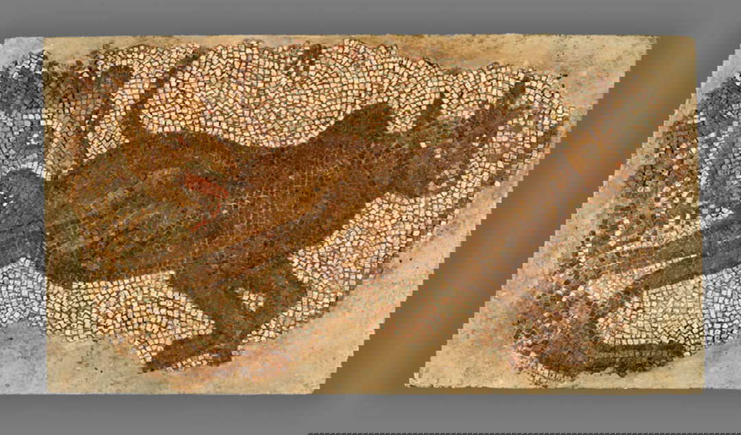 Throw Them to the Lions! Animals in Ancient Rome