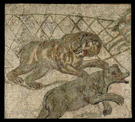 Throw Them to the Lions! Animals in Ancient Rome