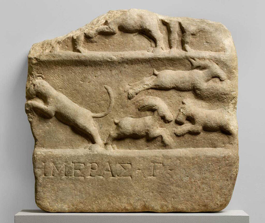 Throw Them to the Lions! Animals in Ancient Rome