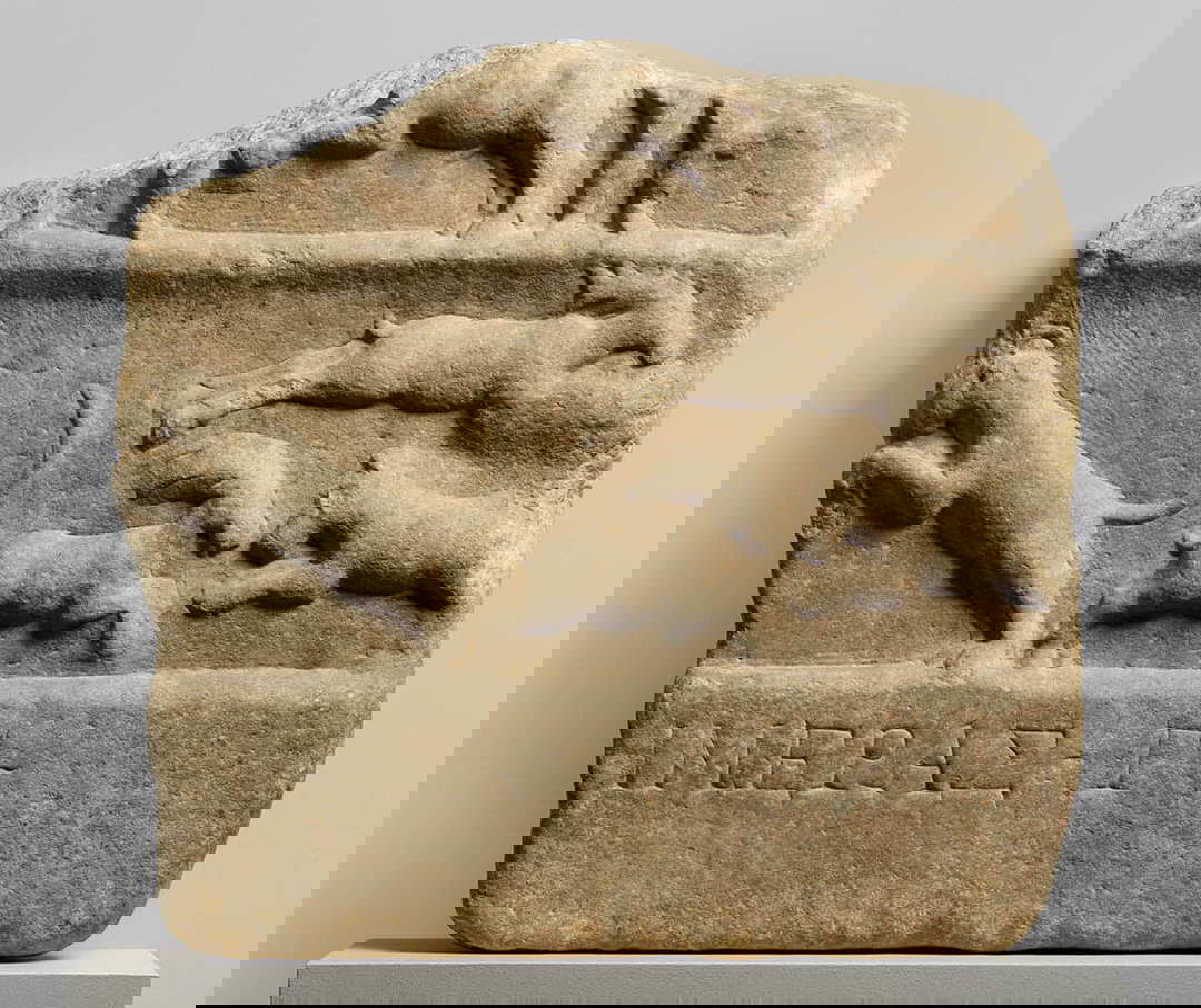 Throw Them to the Lions! Animals in Ancient Rome