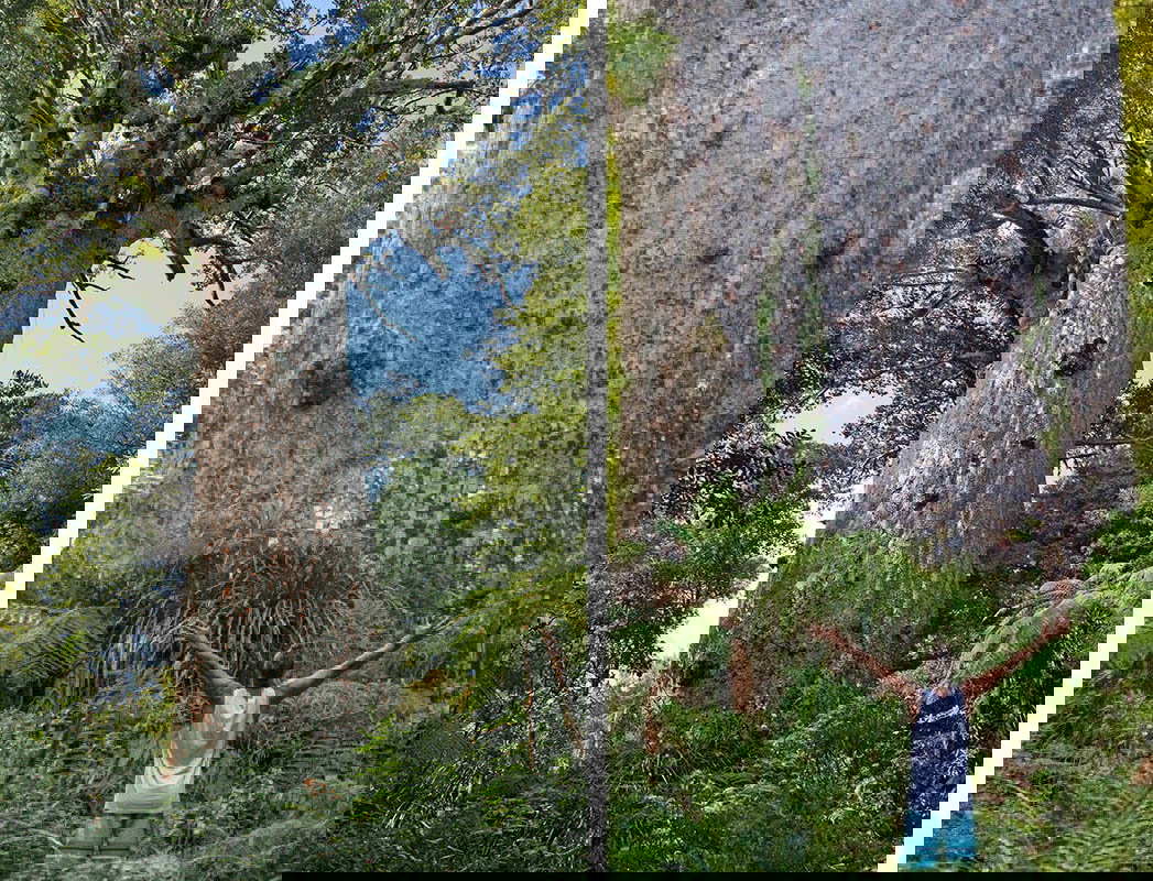 10 Iconic Polynesian Gods and Goddesses (Hawai’i, Māori, Tonga, Samoa)