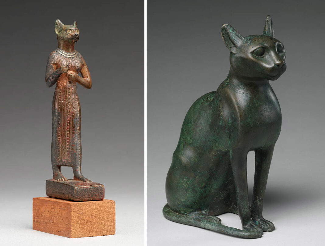 The History of Cats in Human Civilization