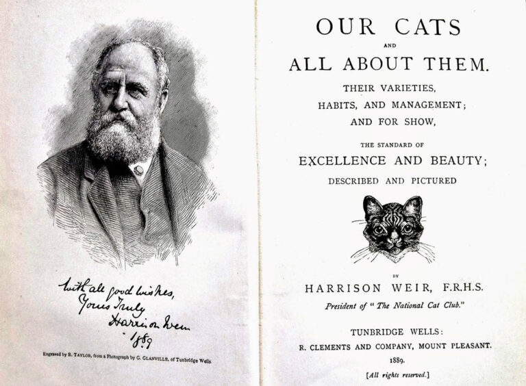 The History of Cats in Human Civilization